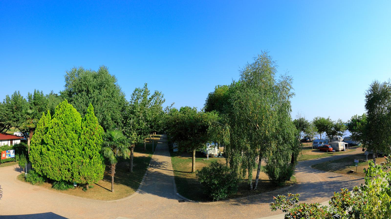 Camping Solcio | DCU